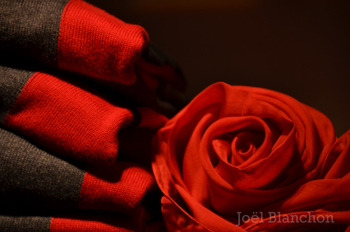 LA ROSE POURPRE DU CAIRE | Joël BLANCHON - Photographe d'Art et ...